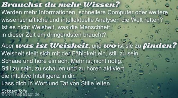 Brauchst du mehr Wissen? Werden mehr Informationen, schnellere...