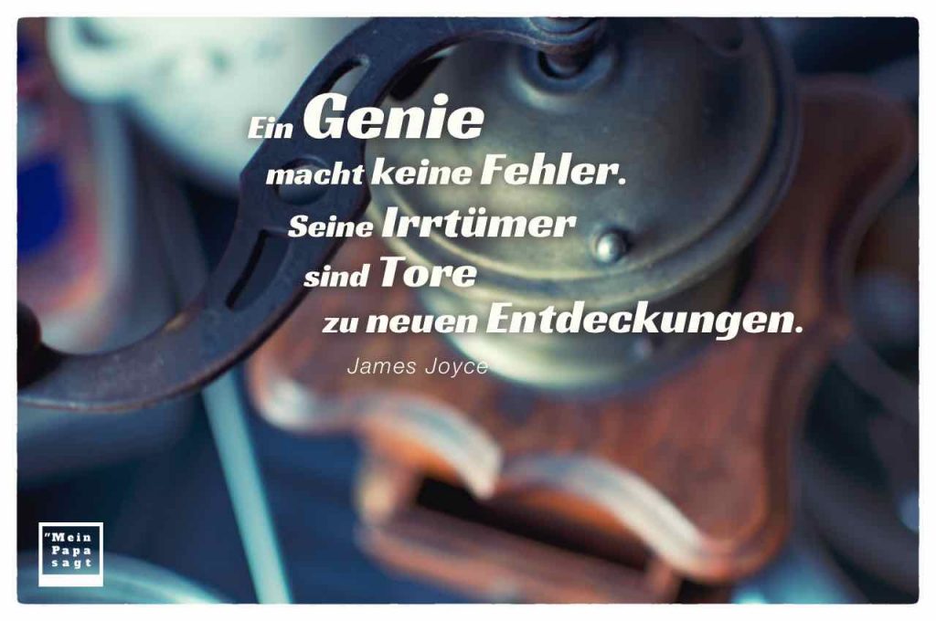 Ein Genie macht keine Fehler. Seine Irrtümer sind Tore zu neuen Entdeck..