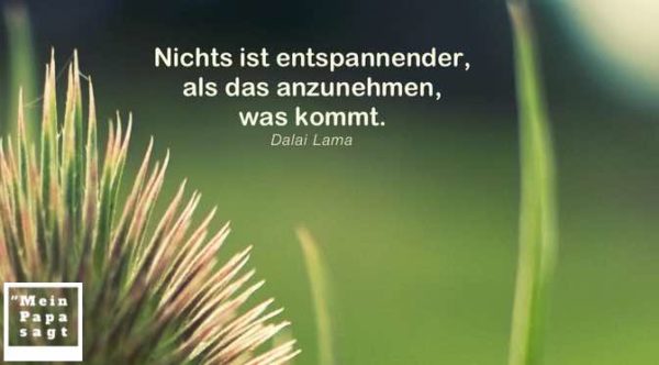 Thema: Toleranz - Zitate und Weisheiten mit Bild