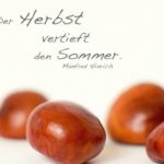 Der Herbst ist des Jahres schönstes farbiges Lächeln - Willy Meurer