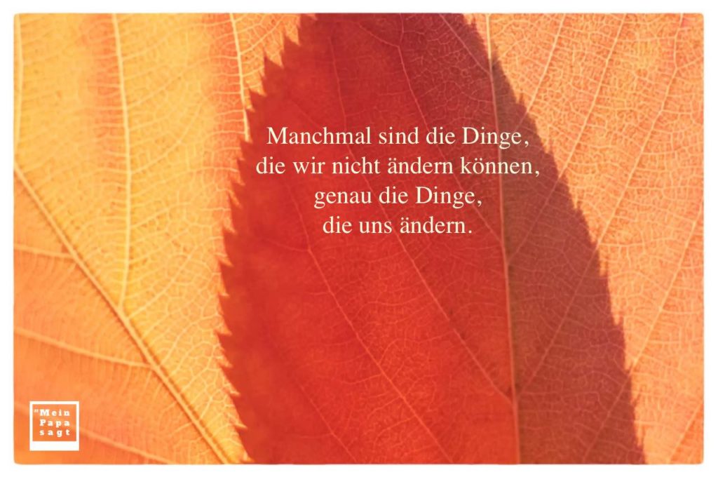 Manchmal sind die Dinge, die wir nicht ändern können, genau die Dinge,